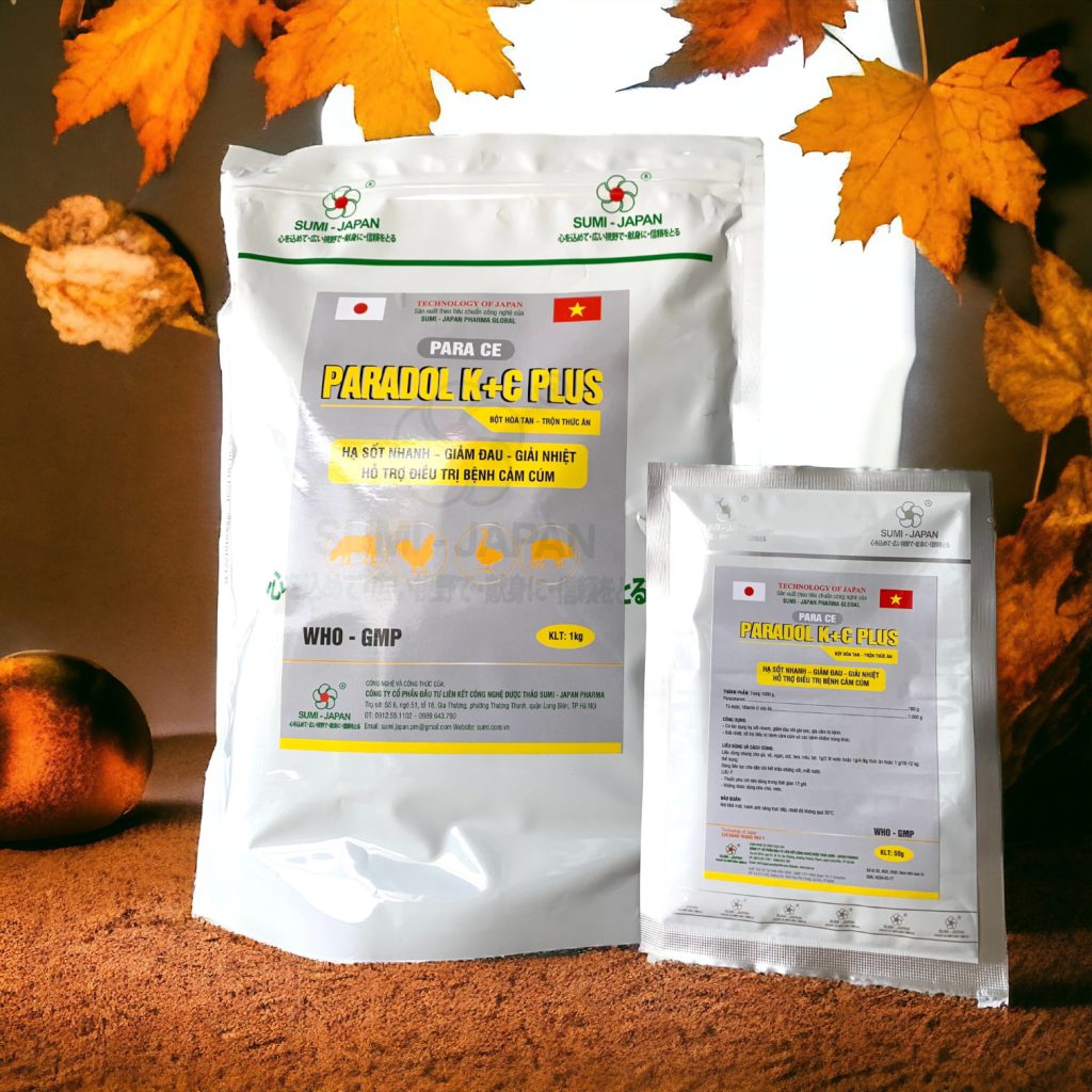 PARADOL K+C PLUS | NHÓM SẢN PHẨM KHÁNG SINH BỘT CÔNG NGHỆ BAO VIÊN