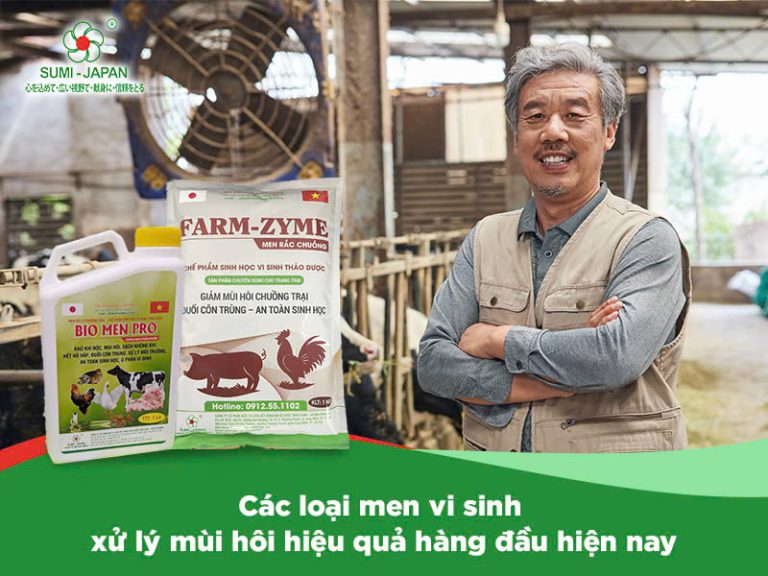 Men vi sinh: Giải pháp xử lý mùi hôi chuồng trại chăn nuôi hiệu quả